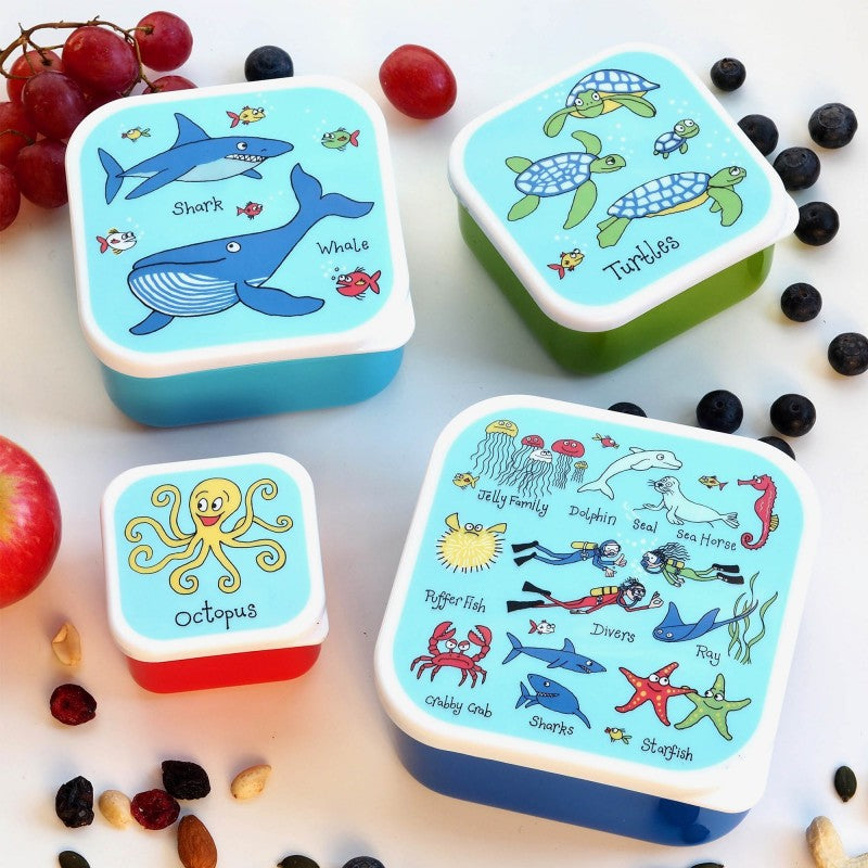 OCEAN SNACK BOXES – Little Treasures Trading LLC
